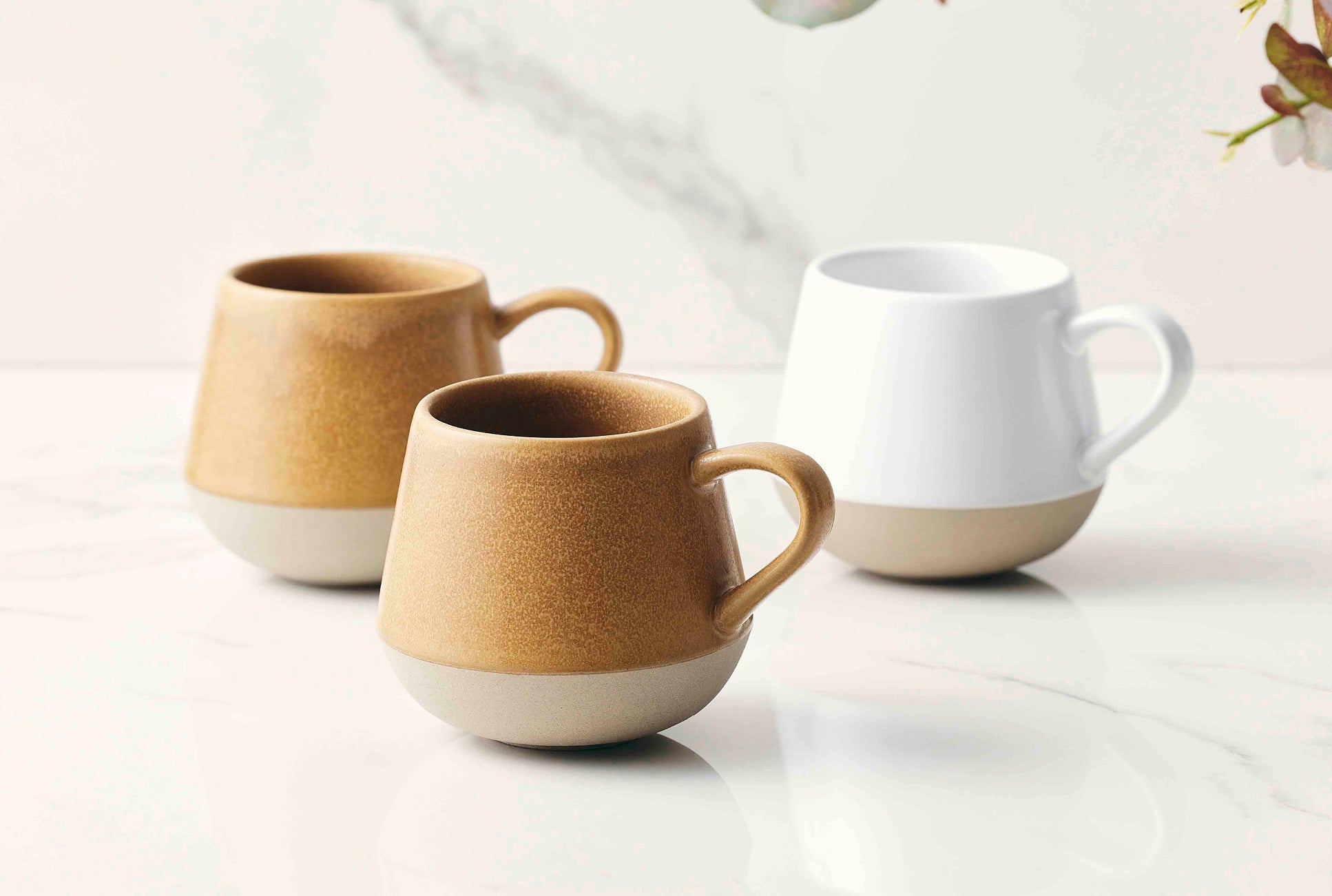 Robert Gordon | Stevens